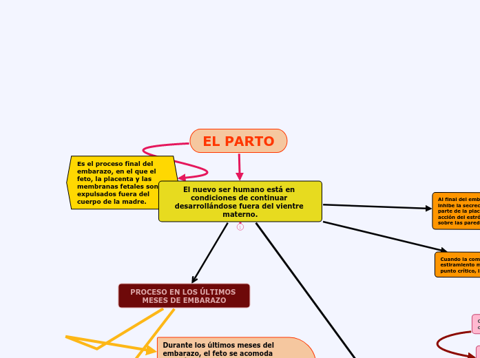 EL PARTO - Mind Map